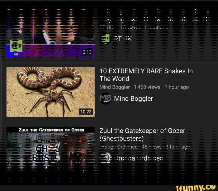 10 EXTREMELY RARE Snakes In The World Mind Boggler 1,460 views 1 hour ...