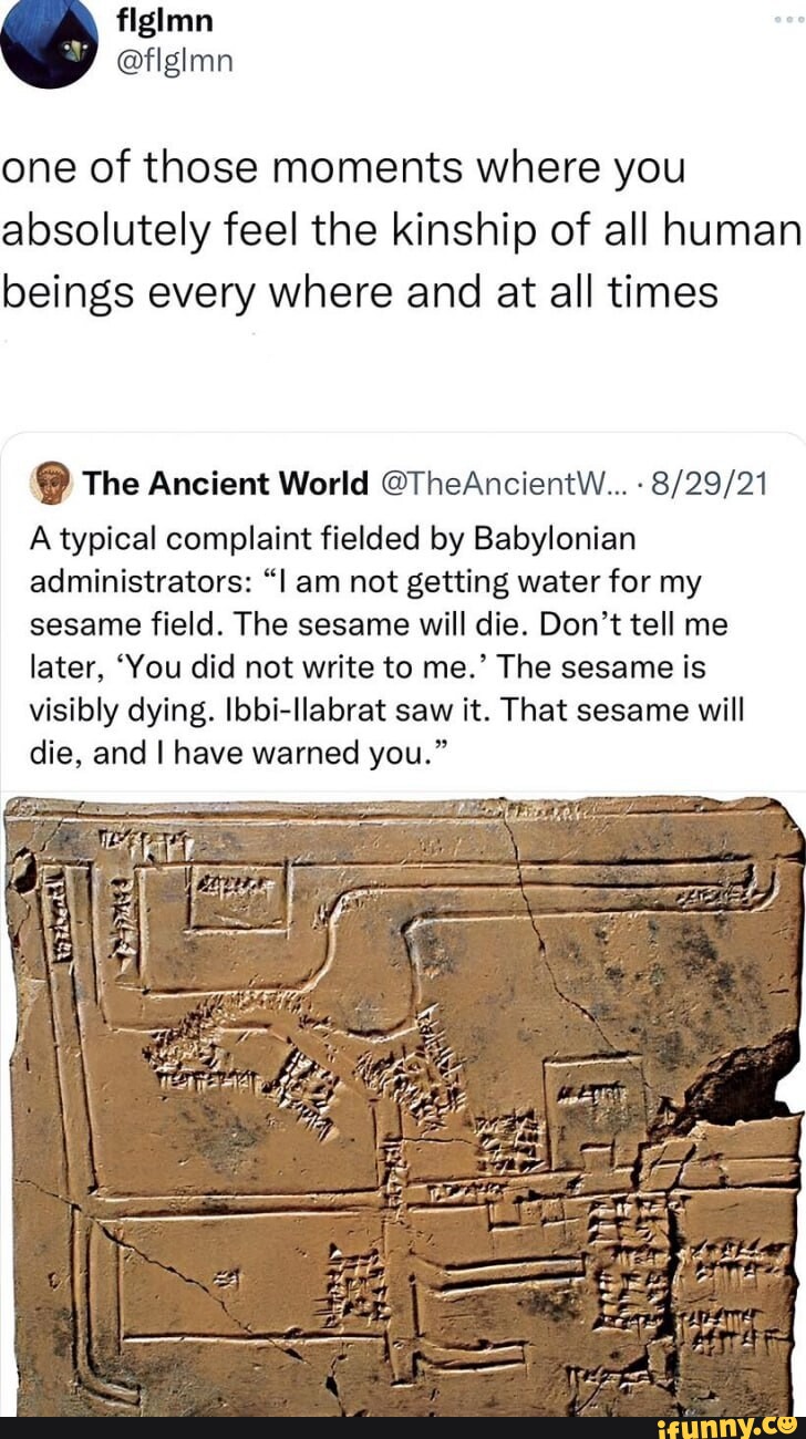 Kinship memes. Best Collection of funny Kinship pictures on iFunny