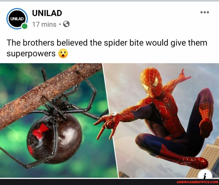 @ UNILAD fe 17 mins The brothers believed the spider bite would give ...