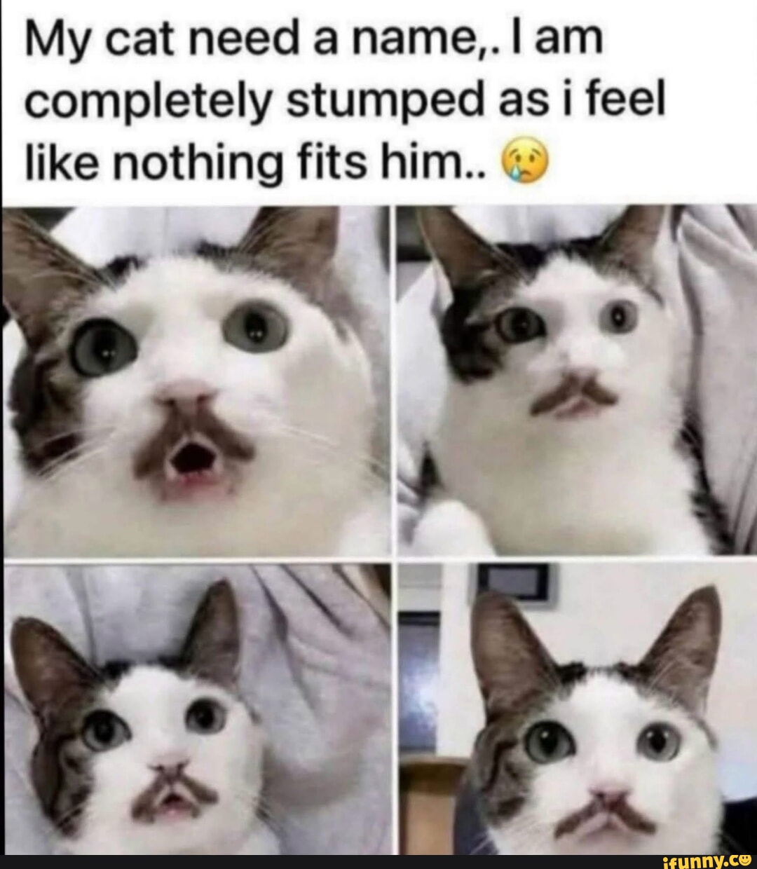 My cat need a name,. I am completely stumped as feel like nothing fits ...