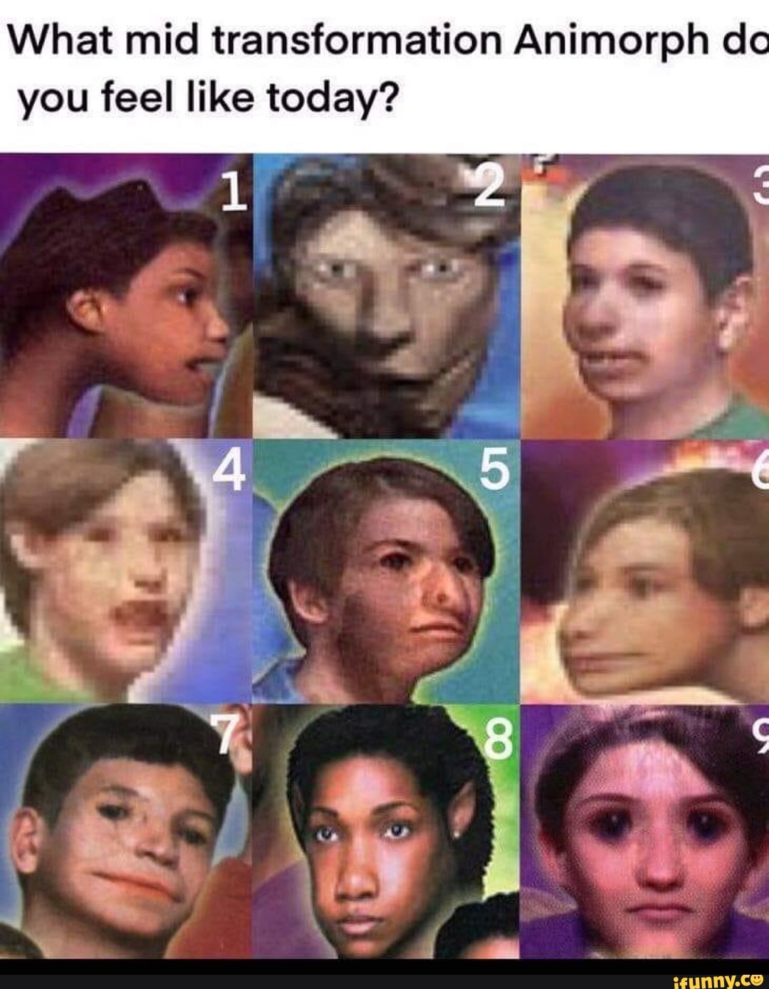 What mid transformation Animorph do you feel like today? - iFunny