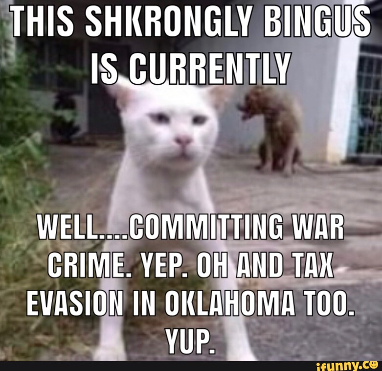 THIS SHKRONGLY BINGUS IS.CURRENTLY WELL....COMMITTING WAR CRIME. YEP ...
