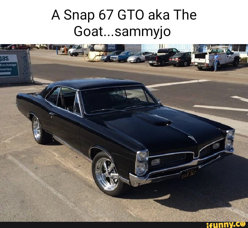 🖤🚓 - A Snap 67 GTO aka The Goat.. - iFunny