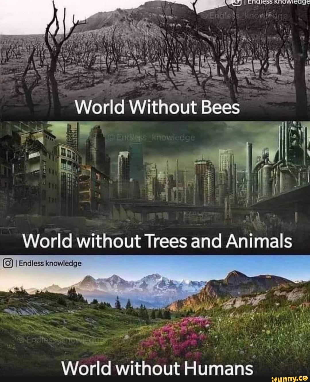 World Without Bees World without Humans World without Trees and Animals ...