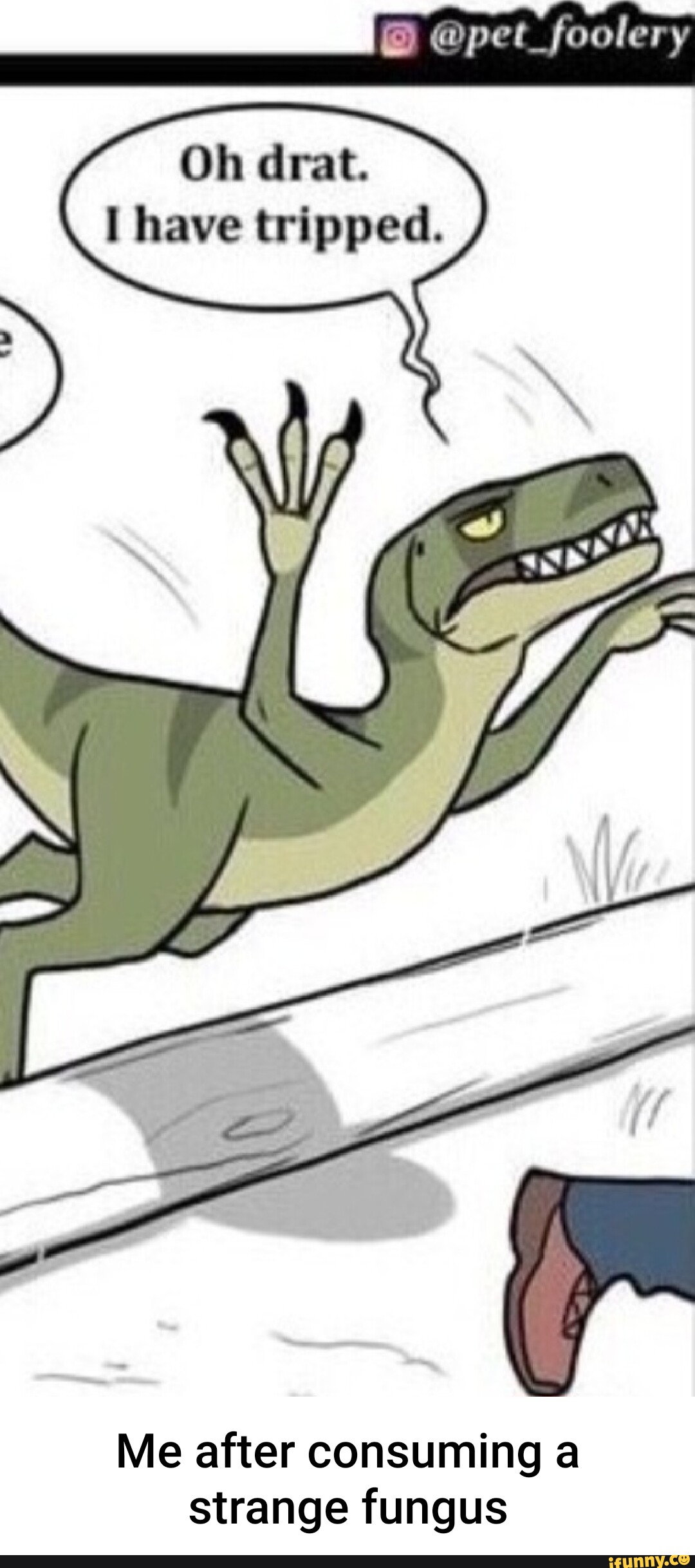 Tripped memes. Best Collection of funny Tripped pictures on iFunny
