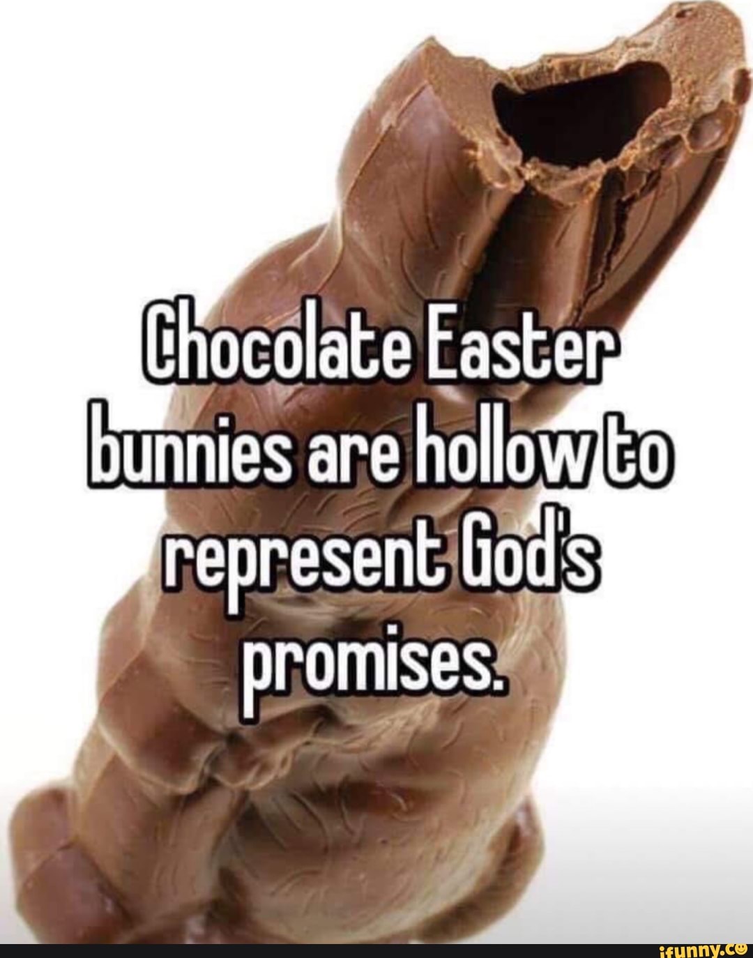 Chocolate Easter bunnies hollow promiges. - iFunny