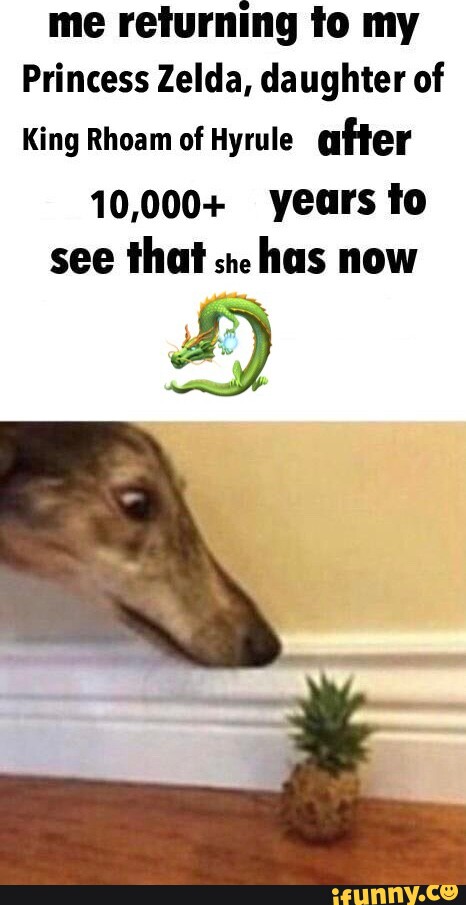 Rhoam memes. Best Collection of funny Rhoam pictures on iFunny