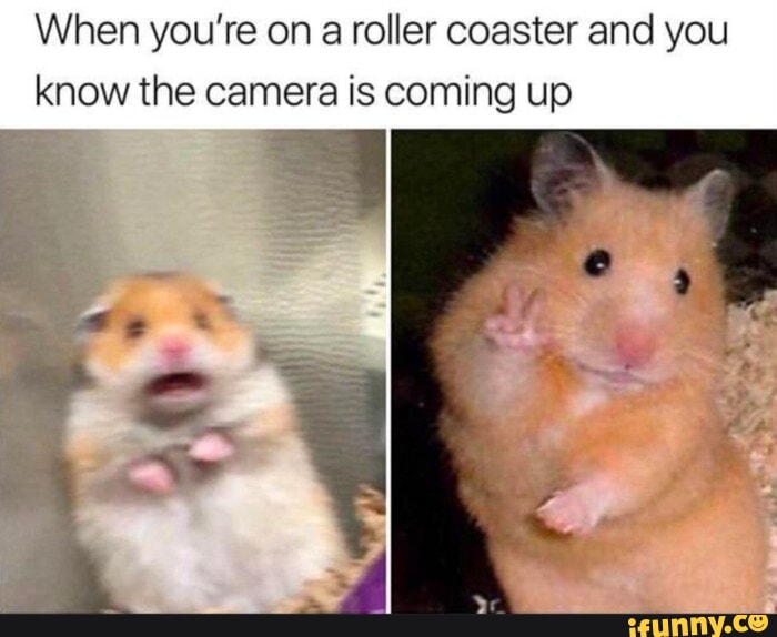 Camera memes. Best Collection of funny Camera pictures on iFunny