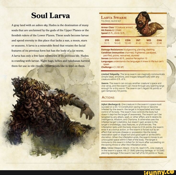 Larva memes. Best Collection of funny Larva pictures on iFunny