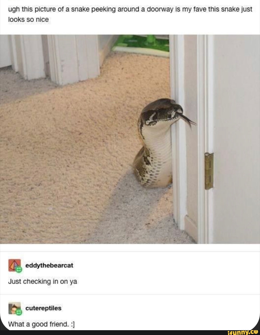 Peeking memes. Best Collection of funny Peeking pictures on iFunny