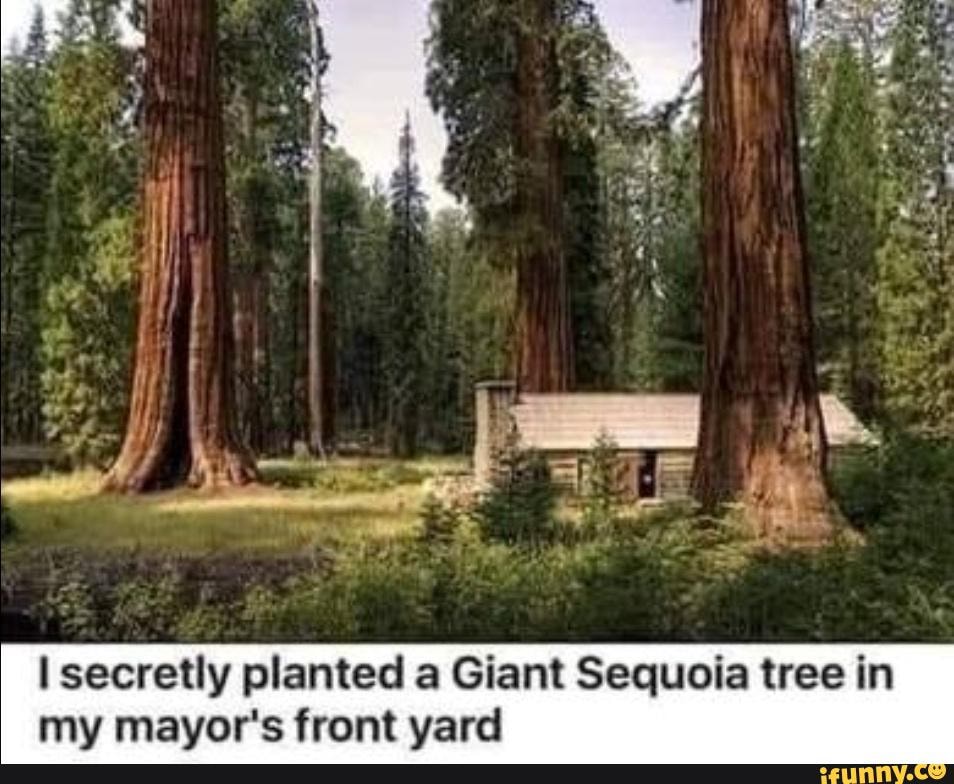 "A Story of Death, New Life, & Revenge" - secretly planted a Giant ...