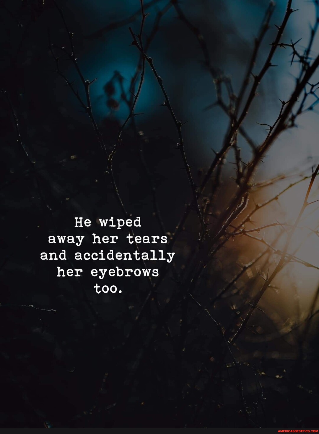 He wiped away her tears and accidentally her eyebrows too. - America’s ...