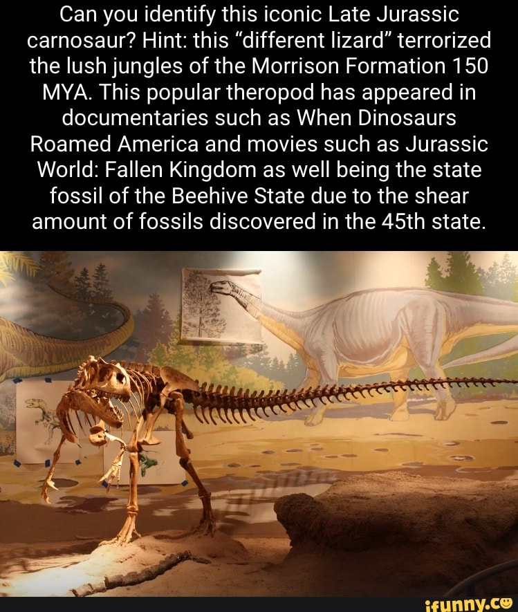 Can you identify this iconic Late Jurassic carnosaur? Hint: this ...