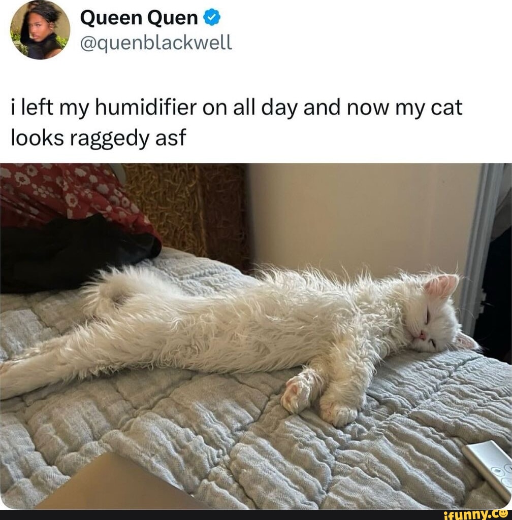Queen Quen @ @quenblackwell i left my humidifier on all day and now my ...