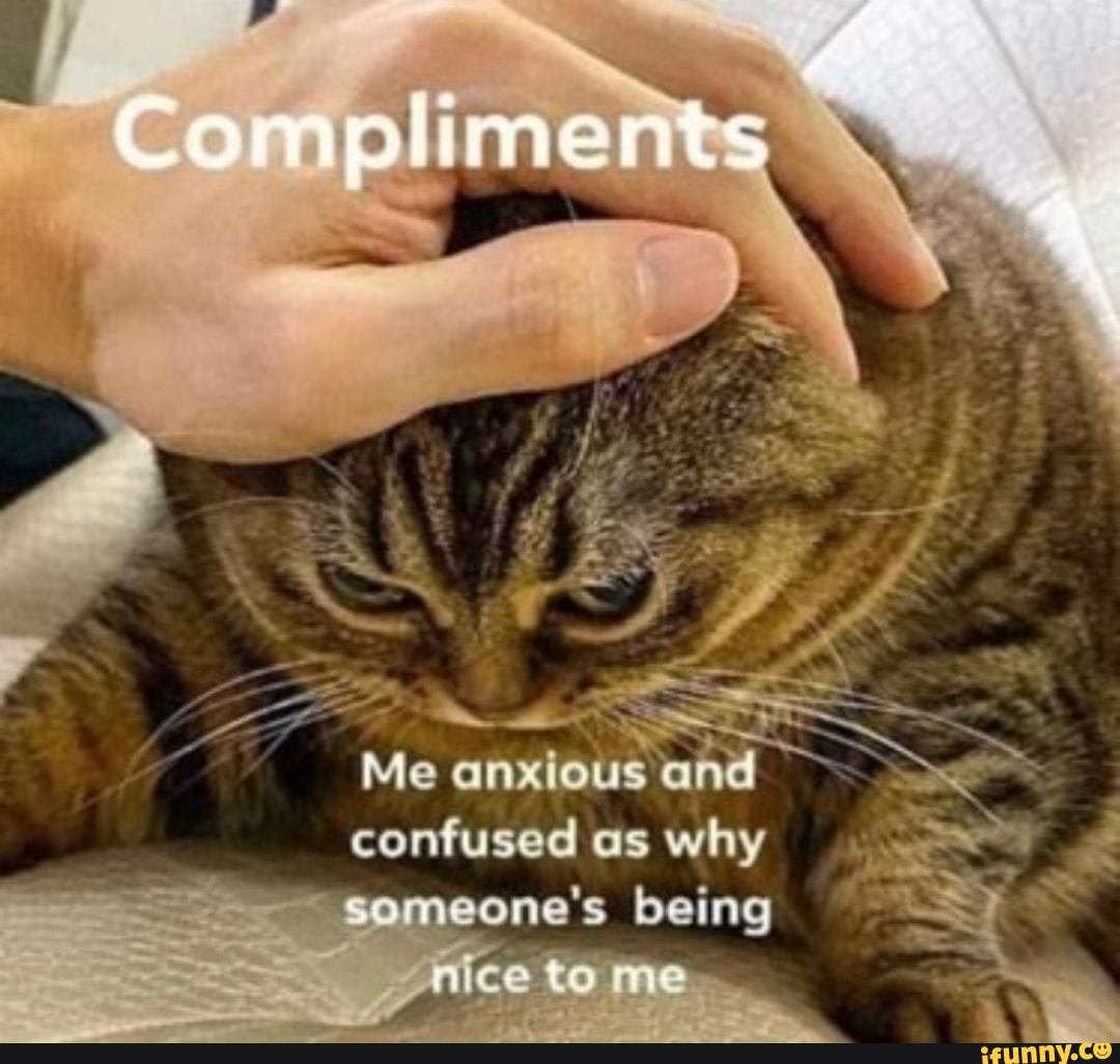 Plim memes. Best Collection of funny Plim pictures on iFunny