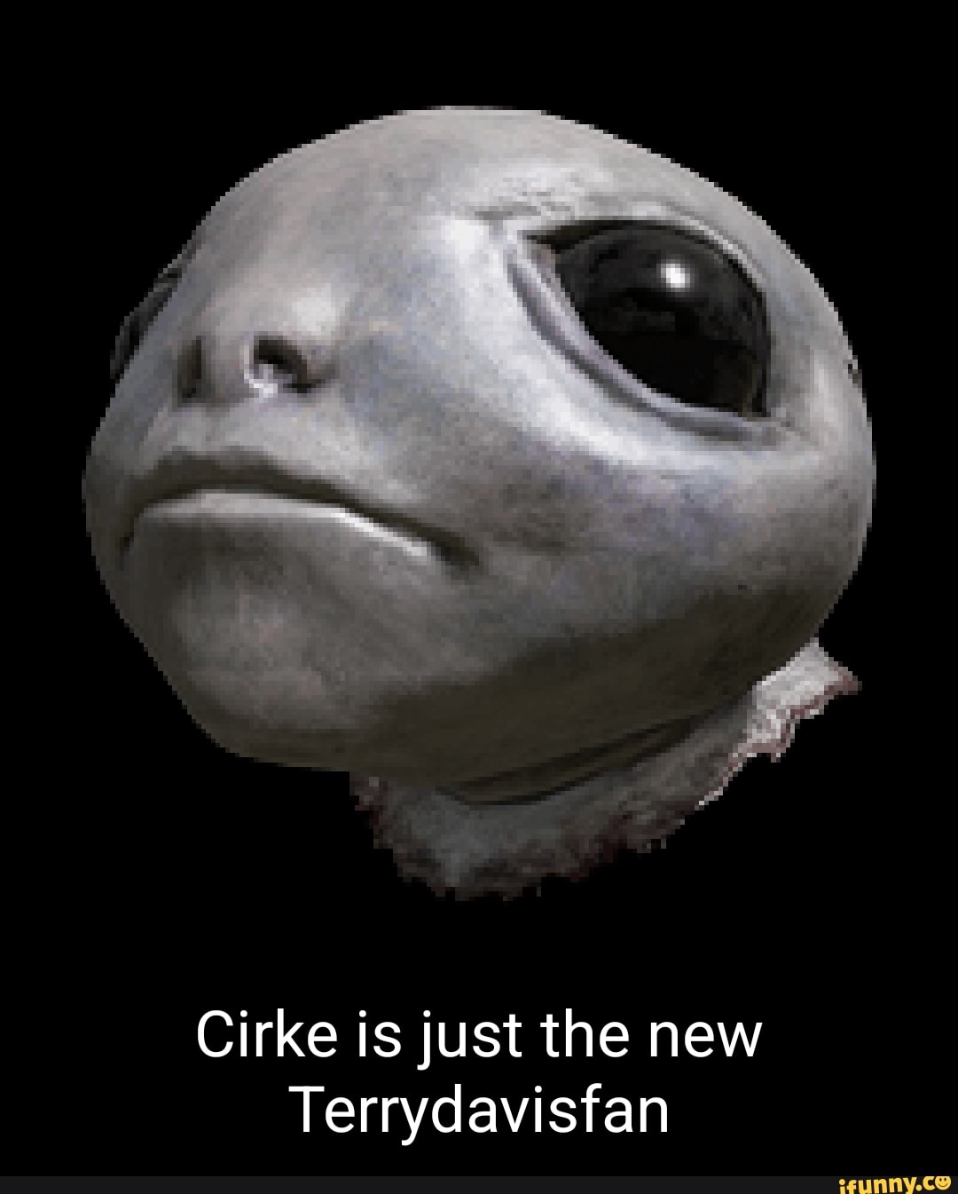 Cirke is just the new Terrydavisfan - iFunny