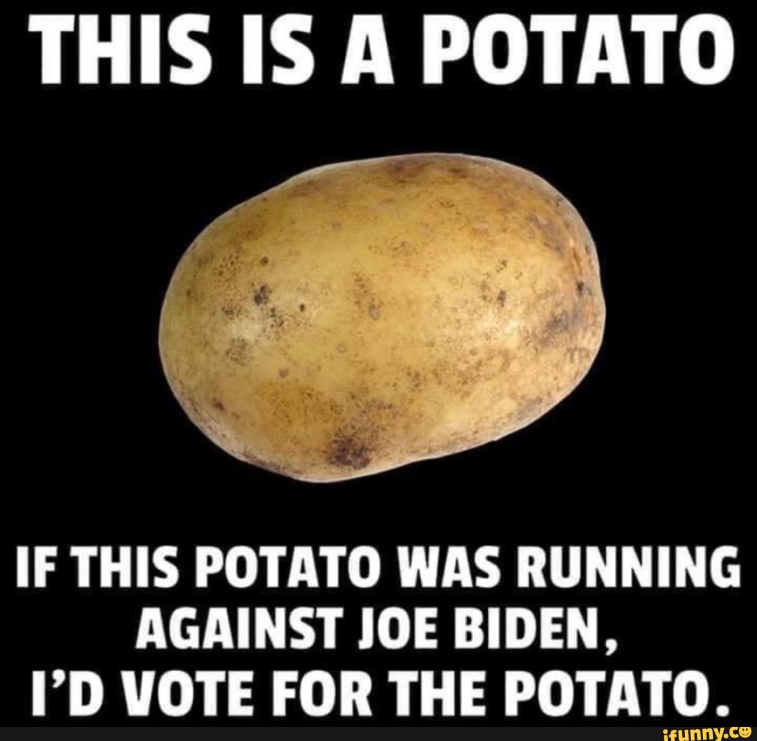 THIS IS A POTATO IF THIS POTATO WAS RUNNING AGAINST JOE BIDEN, I'D VOTE ...