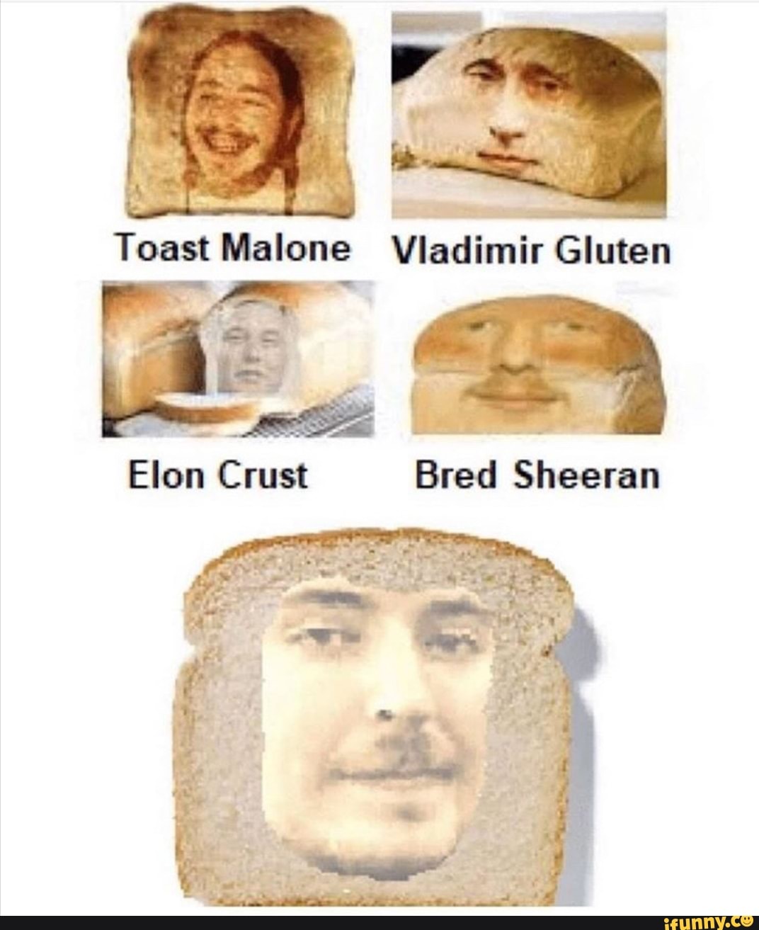 Toast Malone Vladimir Gluten Elon Crust Bred Sheeran - iFunny