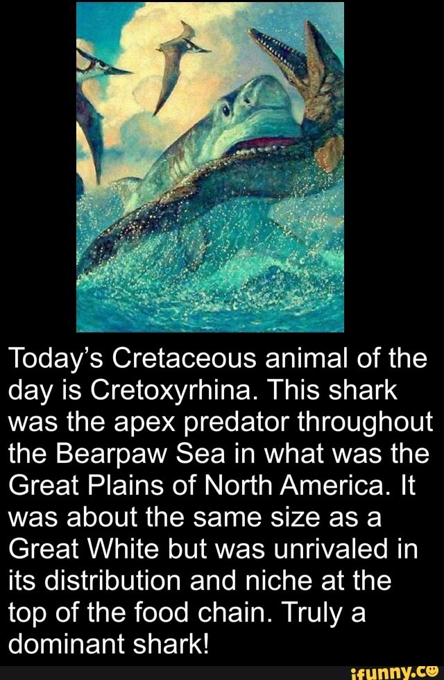 Today's Cretaceous animal of the day is Cretoxyrhina. This shark was ...