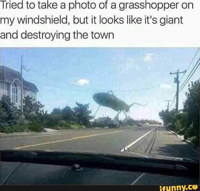 Grasshopper memes. Best Collection of funny Grasshopper pictures on iFunny