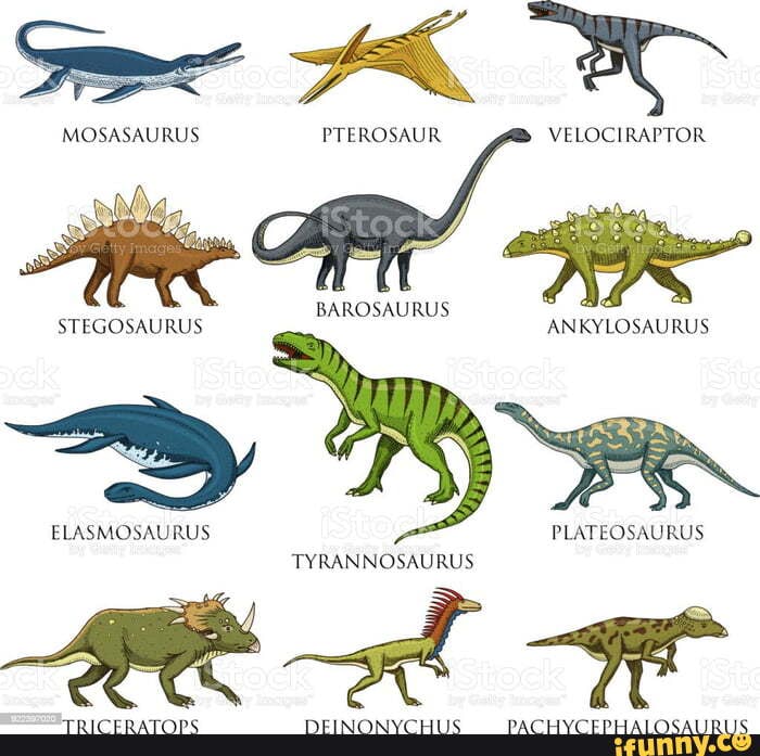 MOSASAURUS PTEROSAUR VELOCIRAPTOR BAROSAURUS STEGOSAURUS ANKYLOSAURUS ...