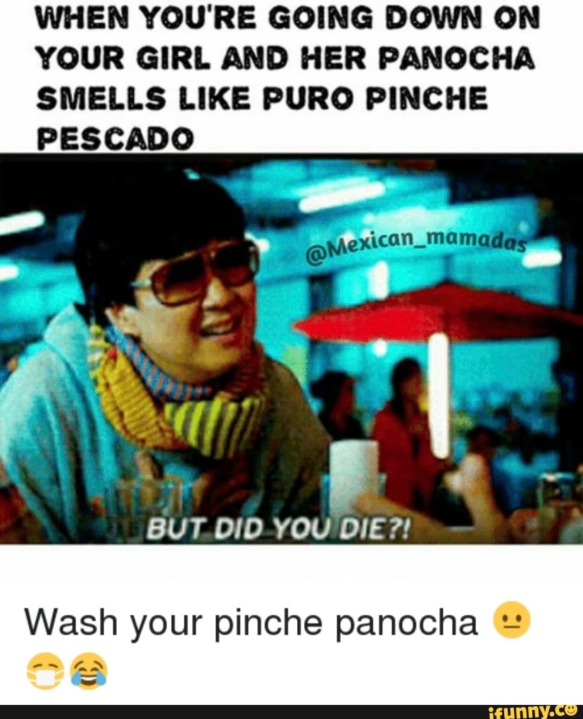 Panocha memes. Best Collection of funny Panocha pictures on iFunny