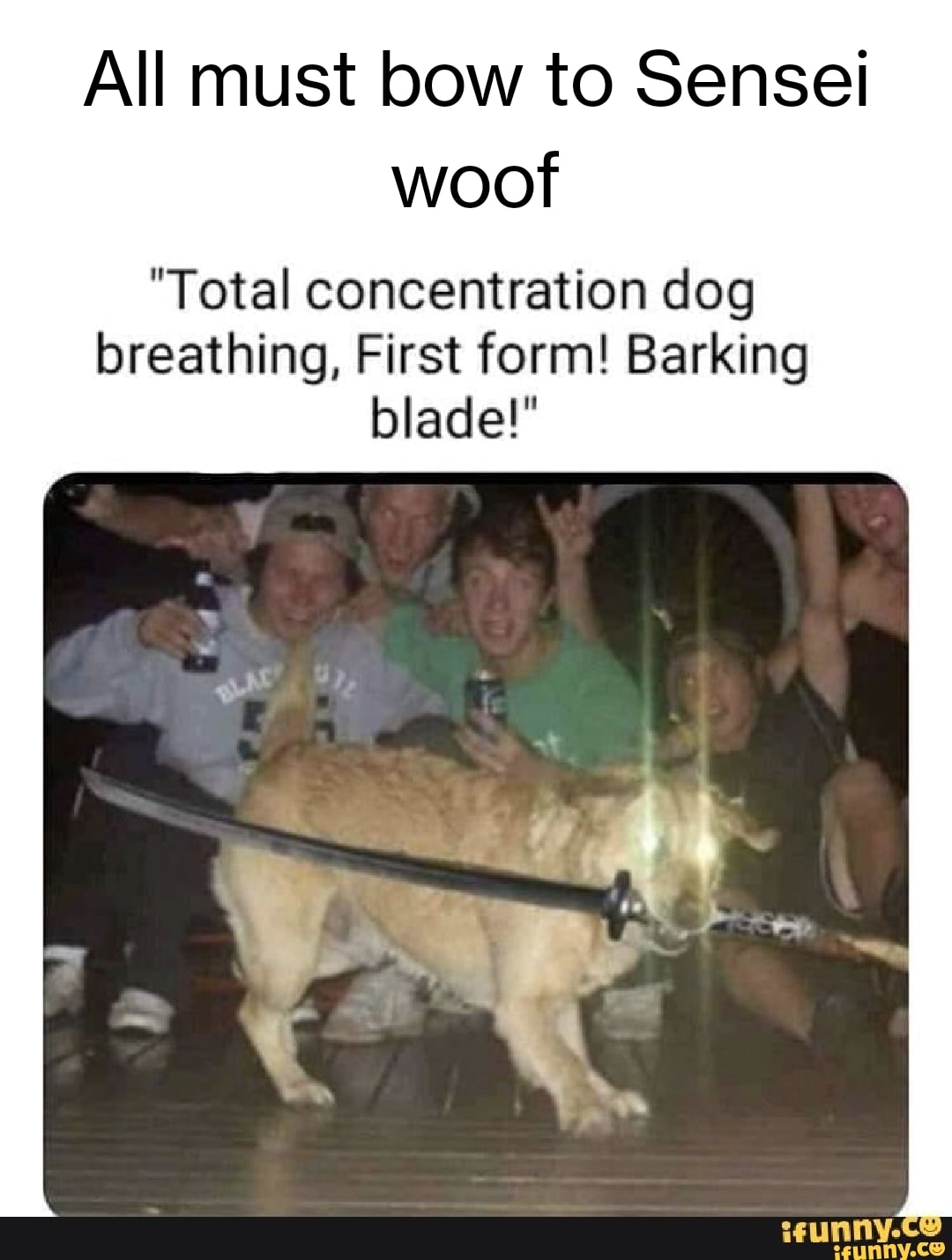 All must bow to Sensei woof "Total concentration dog breathing, First ...