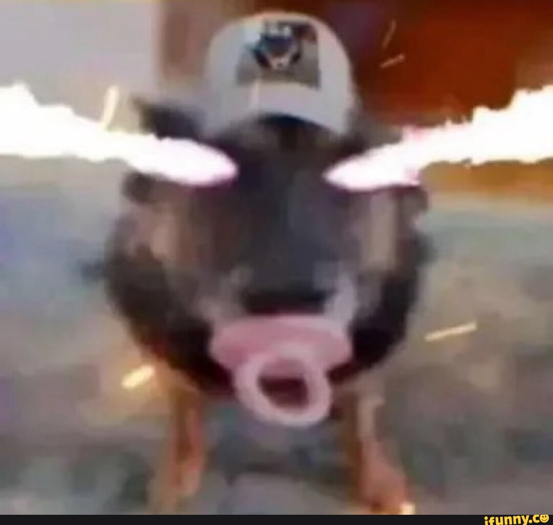 Despair memes. Best Collection of funny Despair pictures on iFunny