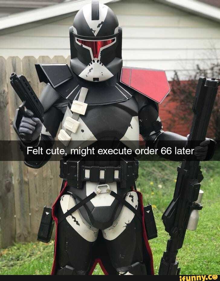 Felt cute, might execute order 66 later al - iFunny