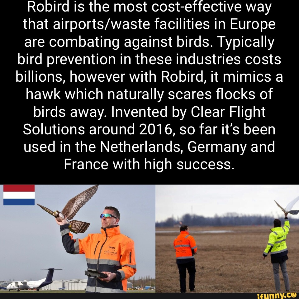 Robird is the most cost-effective way that facilities in Europe are ...