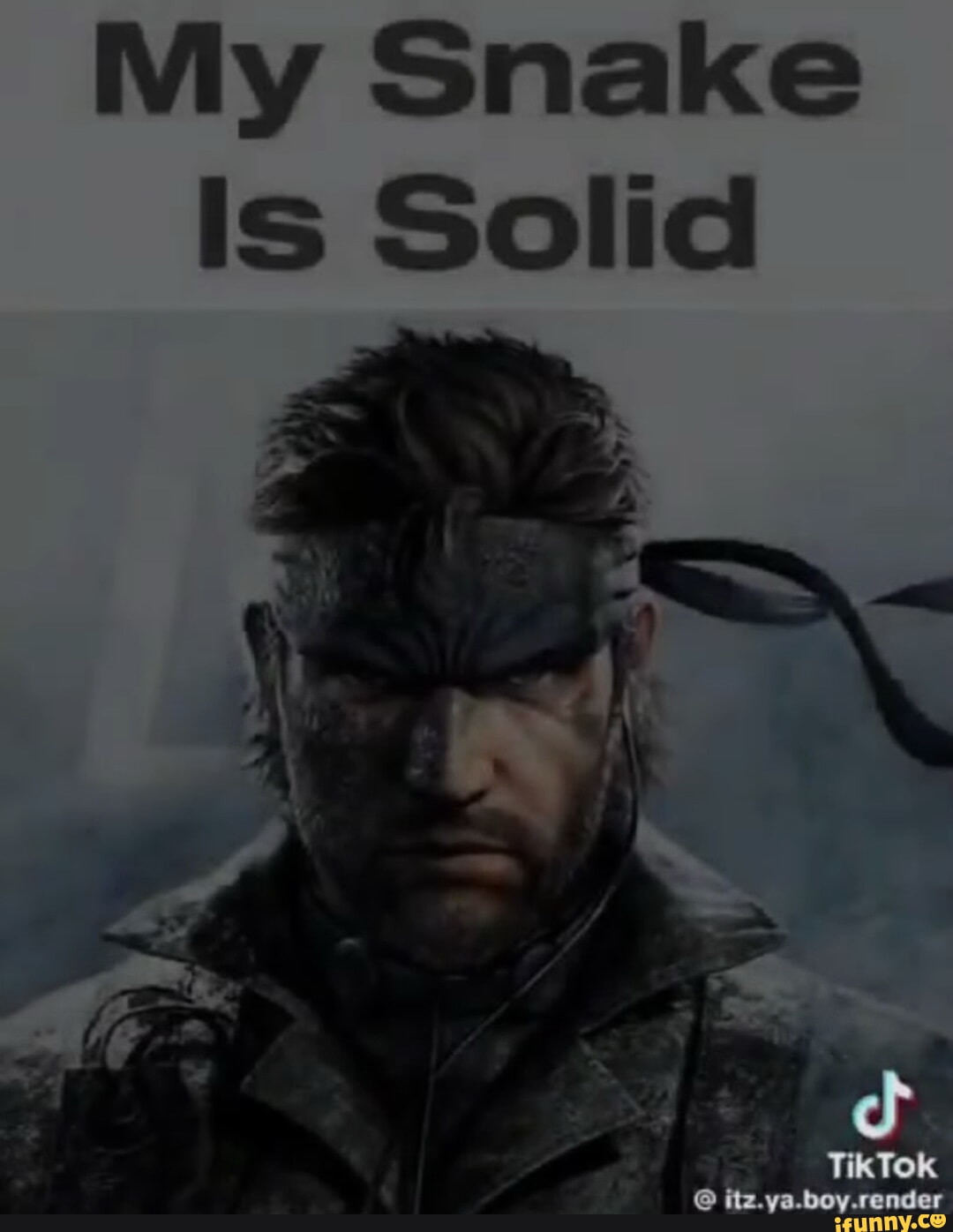 My Snake Is Solid - iFunny