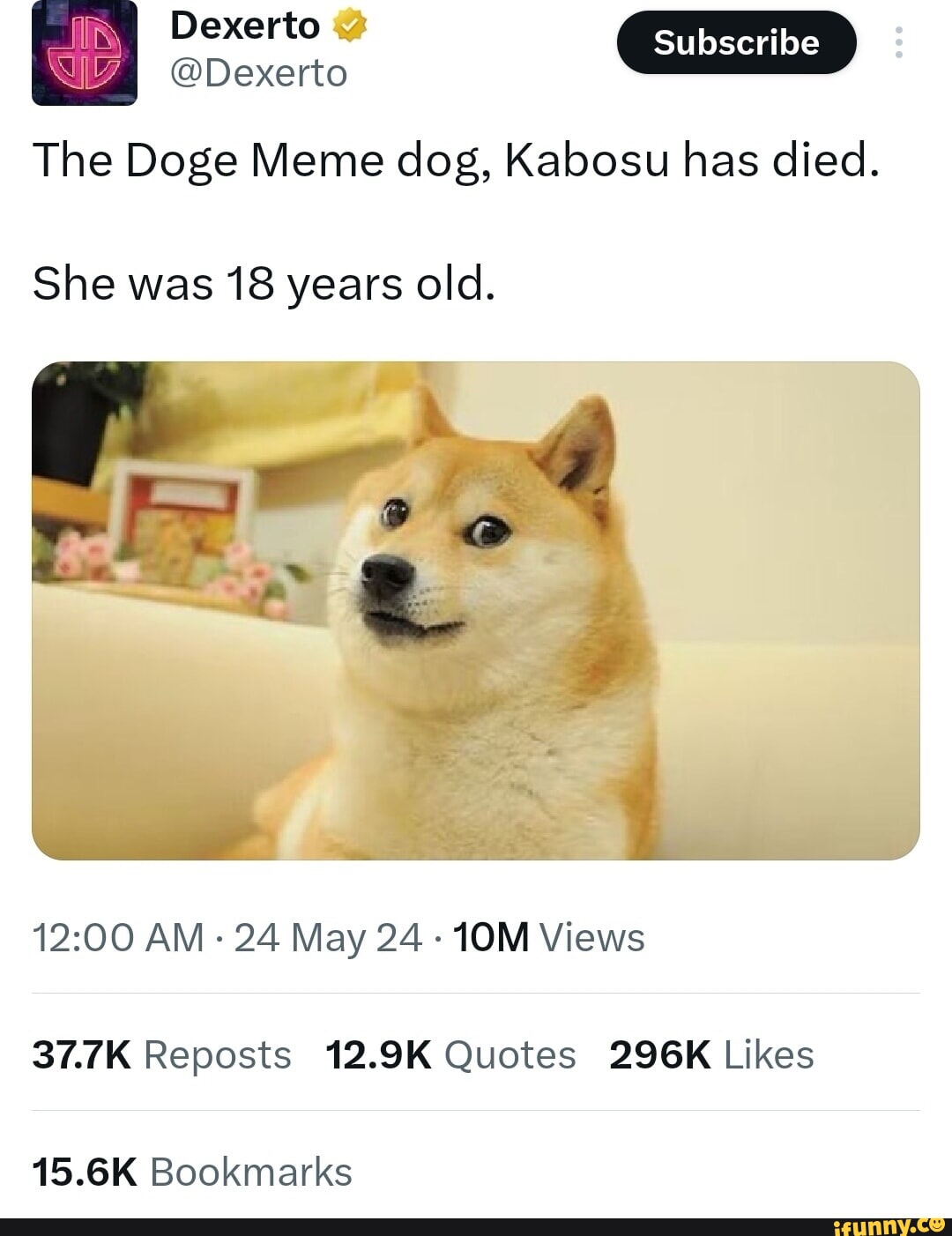 The Doge Meme dog, Kabosu has died. She was 18 years old. I AM 24 May 24 Views 37.7K Reposts 12 ...