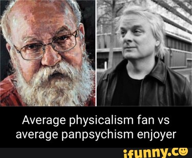 Average physicalism fan vs average panpsychism enjoyer - iFunny
