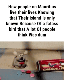Mauritius memes. Best Collection of funny Mauritius pictures on iFunny