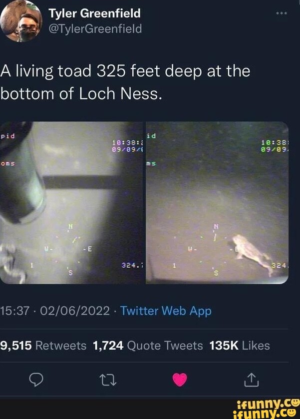 Tyler Greenfield A living toad 325 feet deep at the bottom of Loch Ness ...