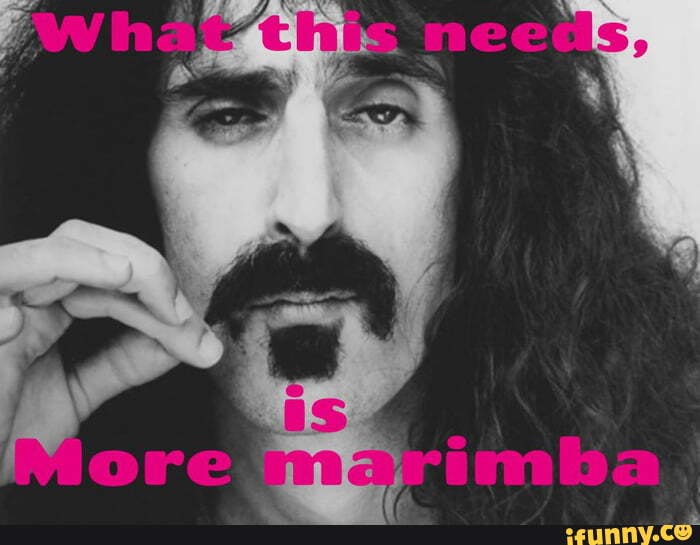 Frank_zappa memes. Best Collection of funny Frank_zappa pictures on iFunny