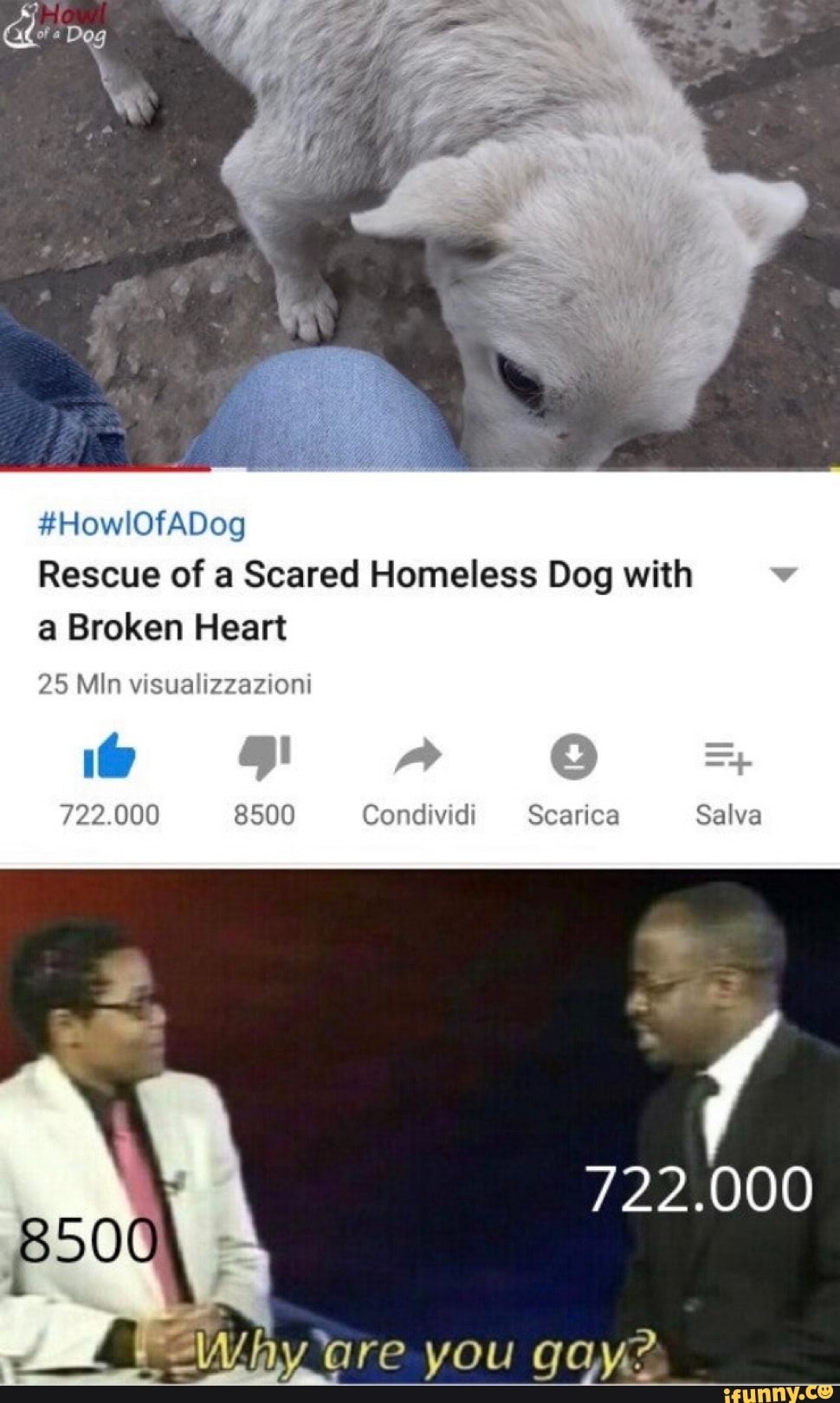 #HowlOfADog Rescue of a Scared Homeless Dog with a Broken Heart - iFunny