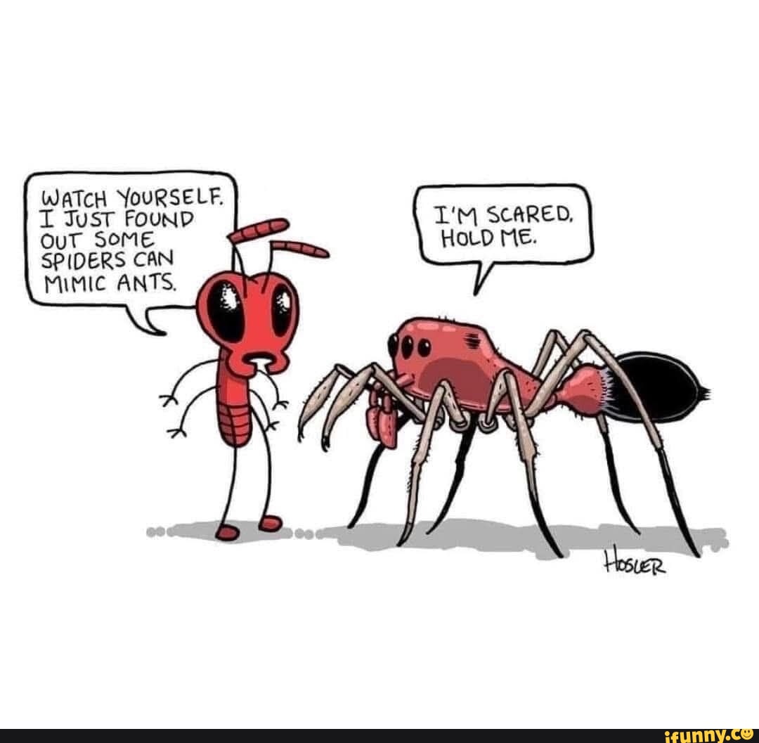 WATCH YouRSELF. I Just FOUND OuT SOME SPIDERS CAN MIMIC ANTS. I'M ...