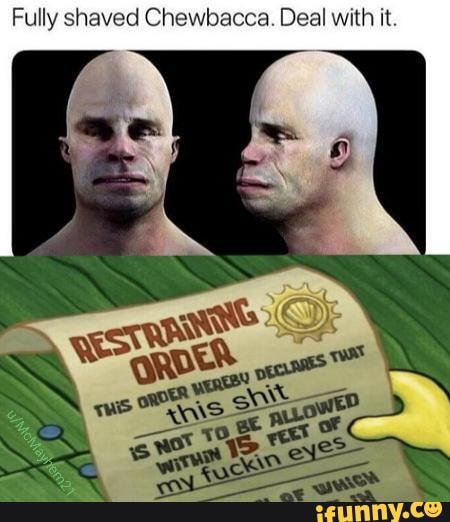 Fully shaved Chewbacca Deal With it - iFunny