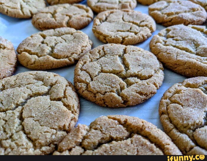 Snickerdoodles memes. Best Collection of funny Snickerdoodles pictures ...