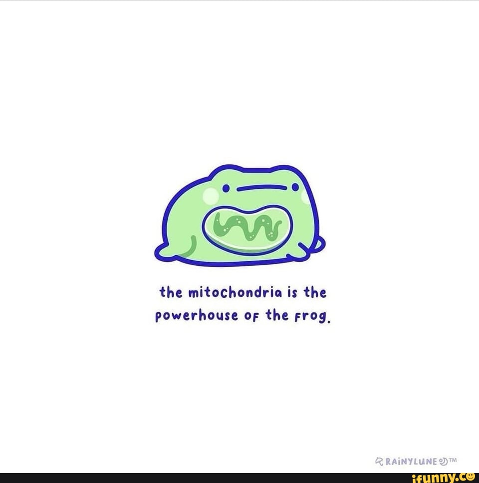 Mitochondria memes. Best Collection of funny Mitochondria pictures on ...