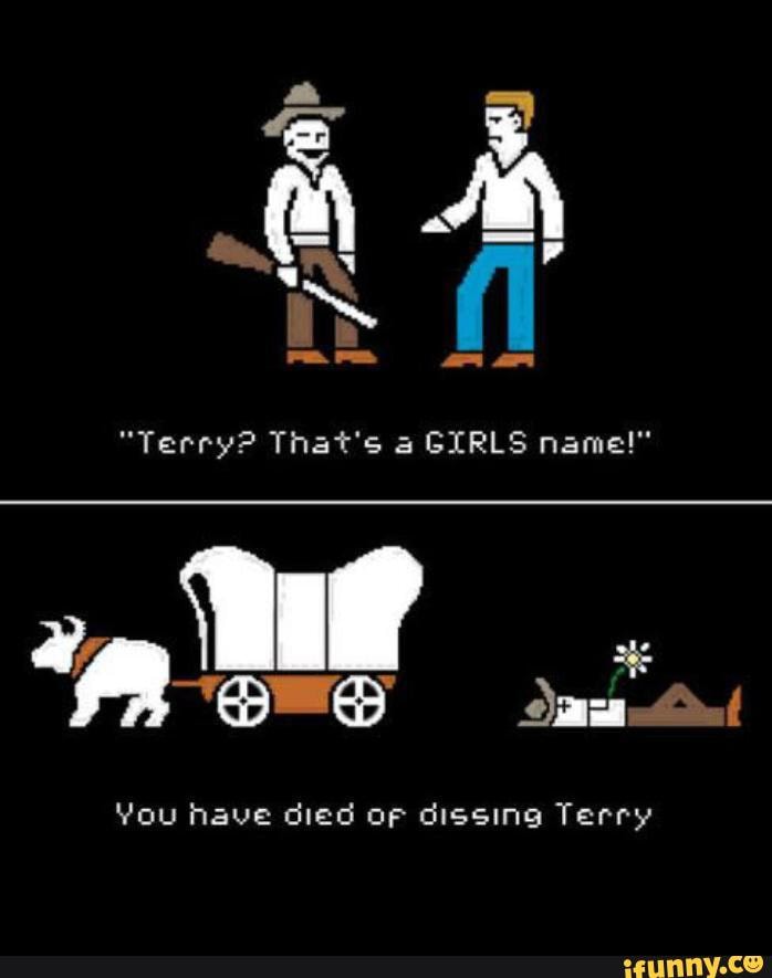 We "Terry? That's GIRLS name!" You have died oF dissing Terry - iFunny