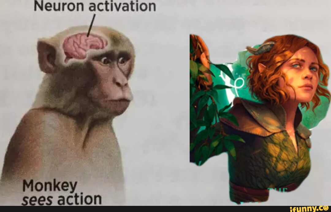 Neuronactivation memes. Best Collection of funny Neuronactivation ...