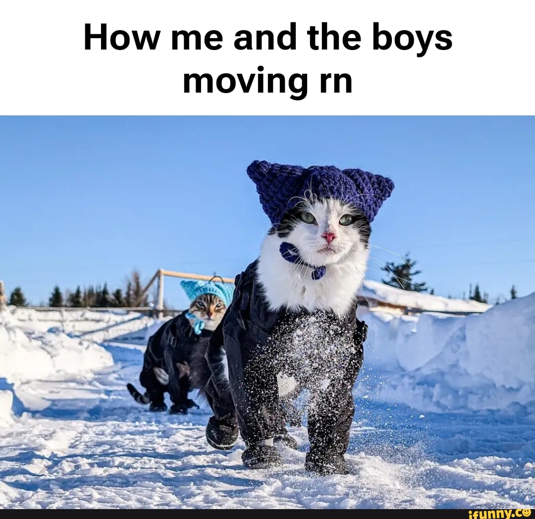How me and the boys moving rn - iFunny