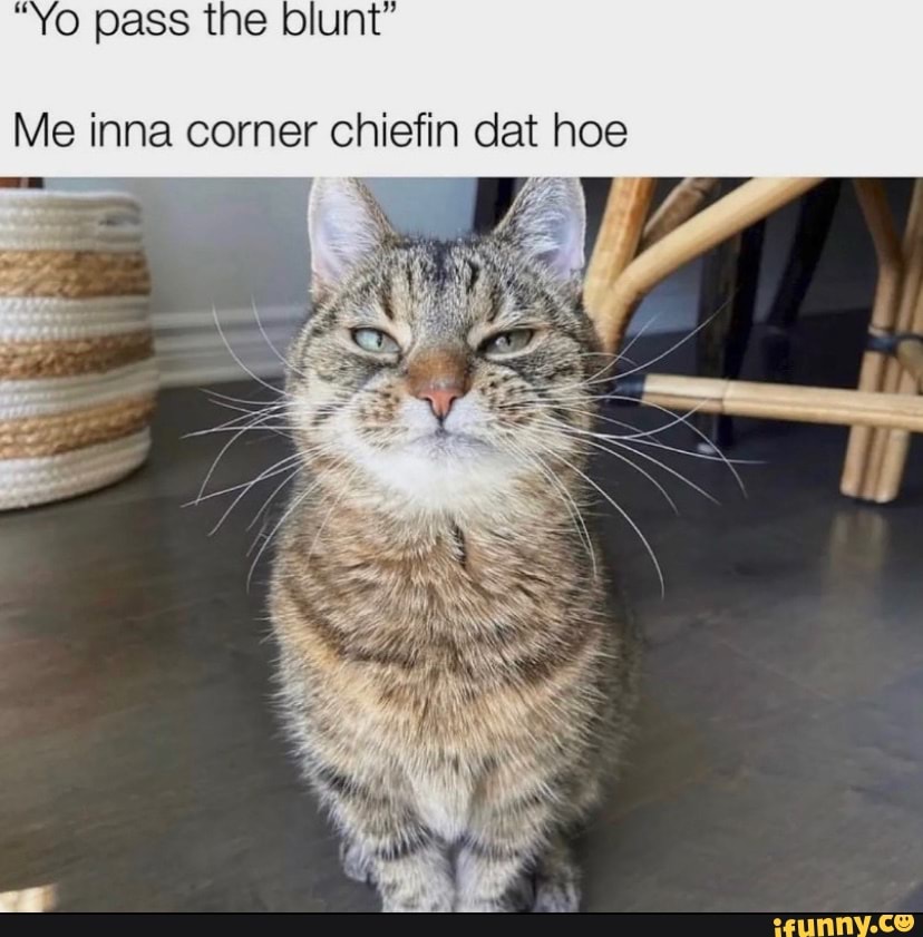 "YO pass the blunt Me inna corner chiefin dat hoe - iFunny