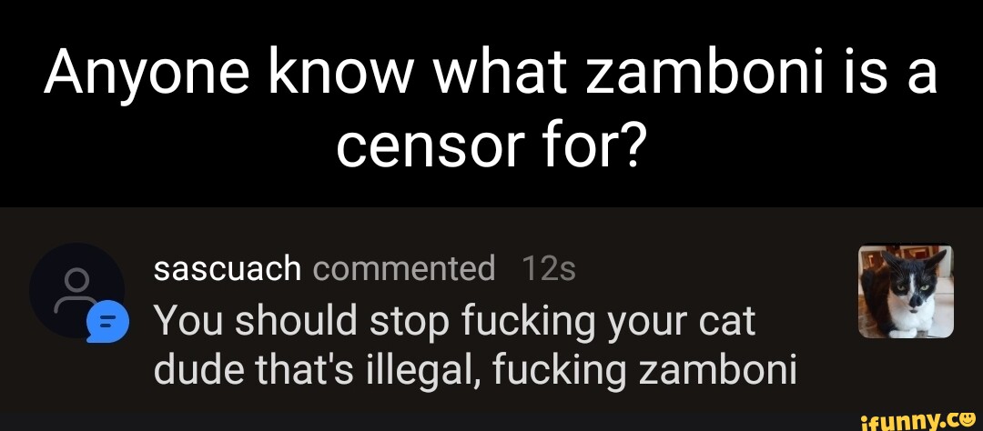 Zamboni memes. Best Collection of funny Zamboni pictures on iFunny