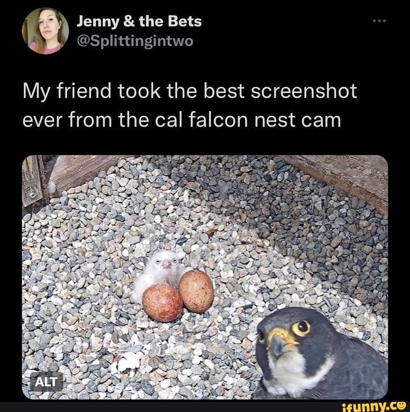 Best Friend Funny Tumblr