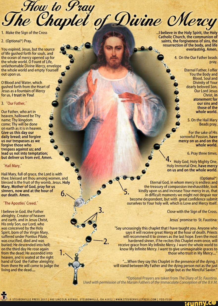 1, Make the Sign of the Cross believe in the Holy Spirit, the Holy ...