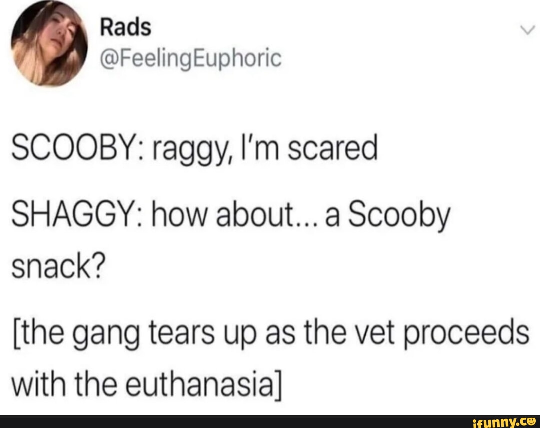 Raggy memes. Best Collection of funny Raggy pictures on iFunny