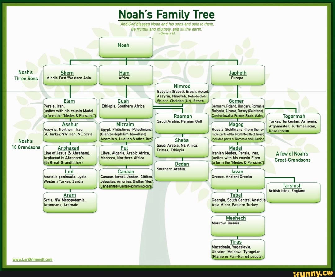 Noah's Three Sons Noah's 16 Grandsons Noah's "And God blessed Family ...